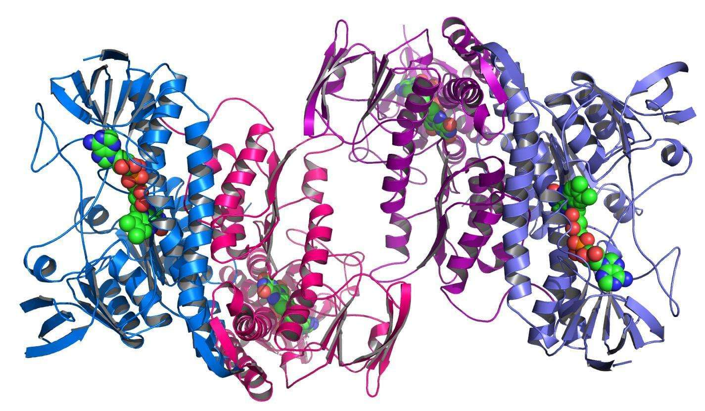 Protein Design and Engineering - Creative BioMart Protein Design and Engineering - Creative BioMart